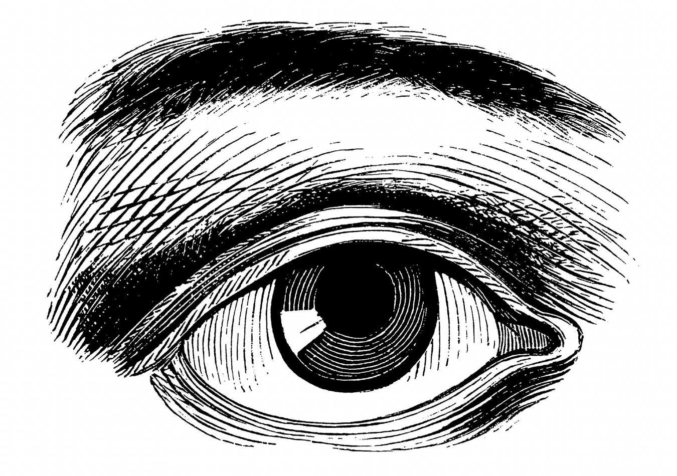 How To Wake Up To Reality Emily Wellness And Oneness