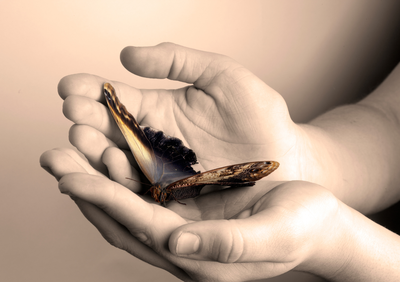 Do We Need to Protect Our Energy? - Emily Wellness & Oneness